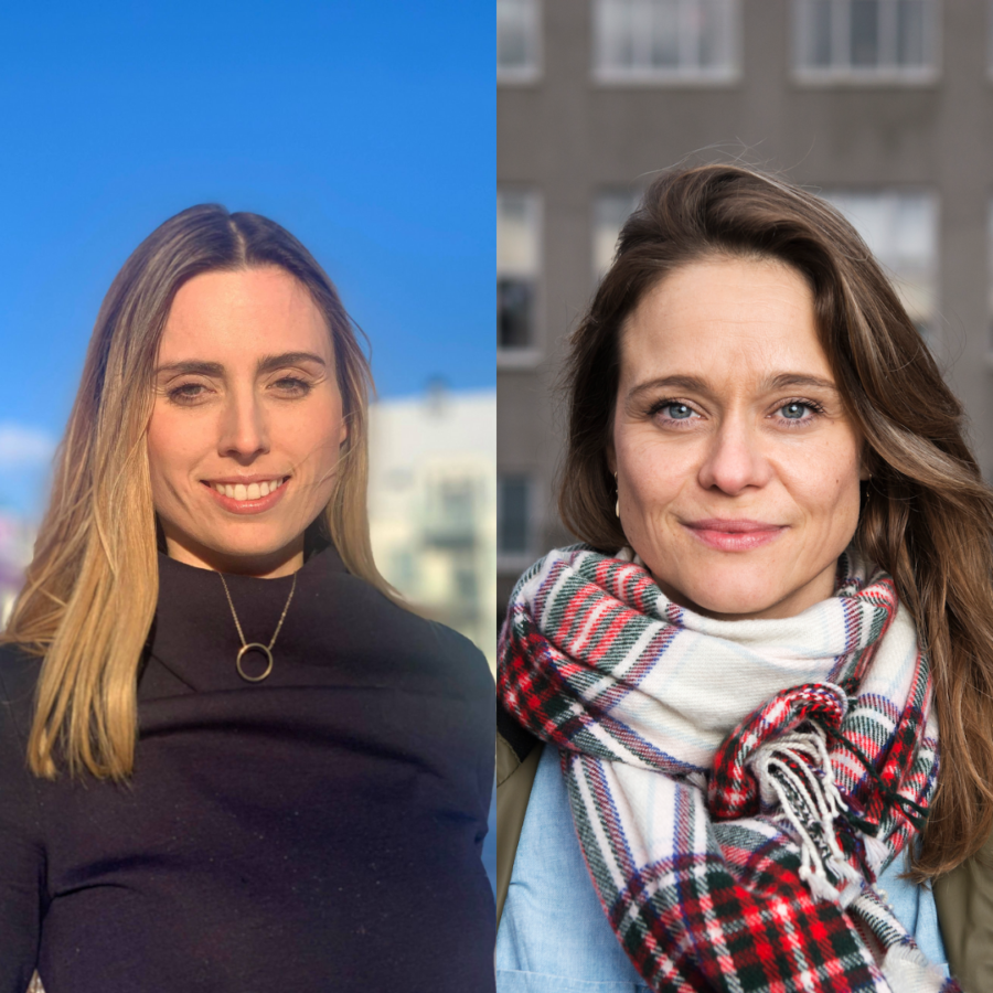 Dýrs­lega, fagra og villta Reykja­vík - vertu alltaf svona! - Vinstri græn